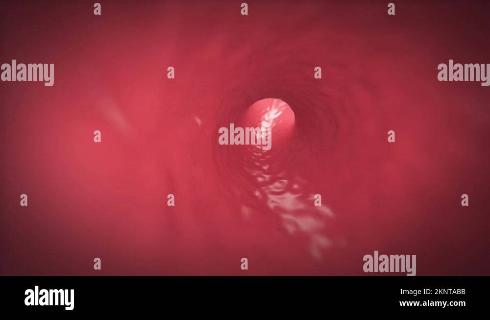 Inside Through Vein 4K Loop Animation Stock Video Footage - Alamy