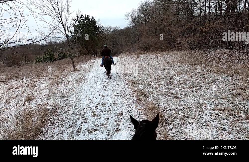 The maybury Stock Videos & Footage - HD and 4K Video Clips - Alamy