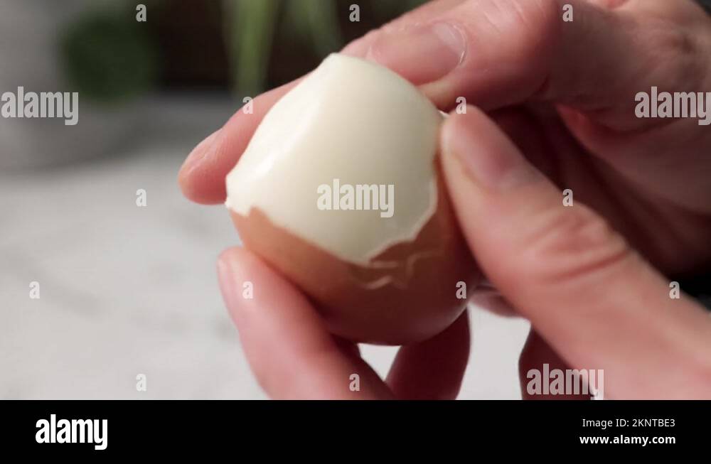 Boiled egg close up Stock Videos & Footage - HD and 4K Video Clips - Alamy