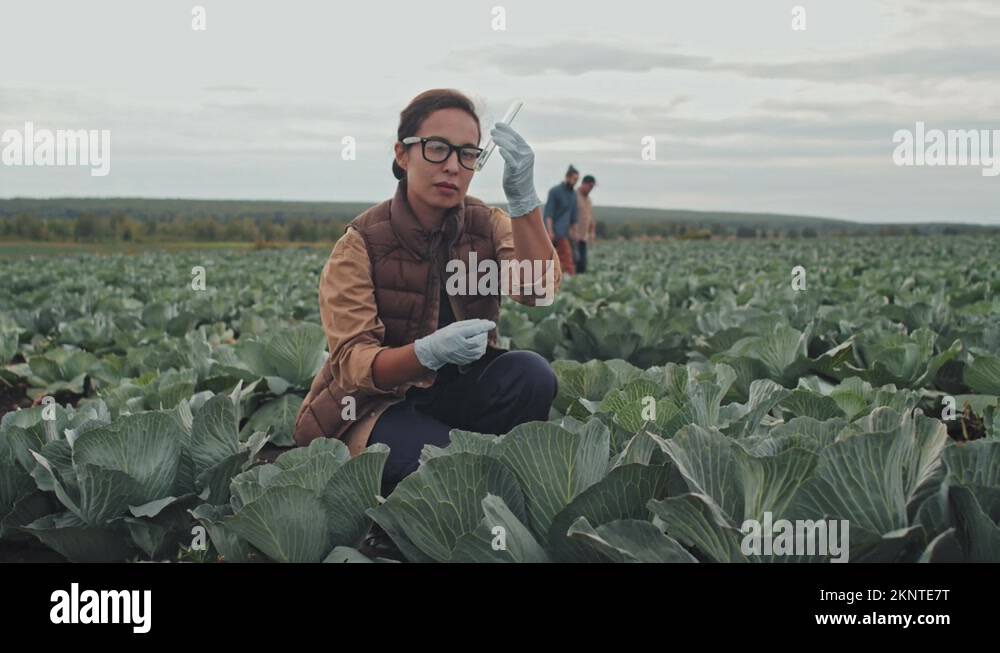 Sample of soil Stock Videos & Footage - HD and 4K Video Clips - Alamy