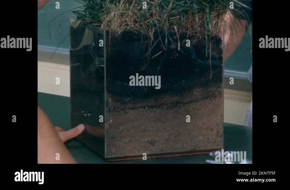 1960s: teacher and two students observing glass cube filled with soil ...