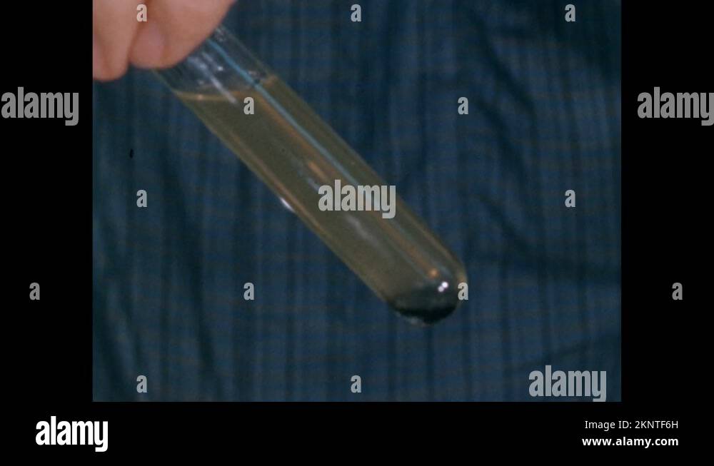 Mixed the soil mix Stock Videos & Footage - HD and 4K Video Clips - Alamy