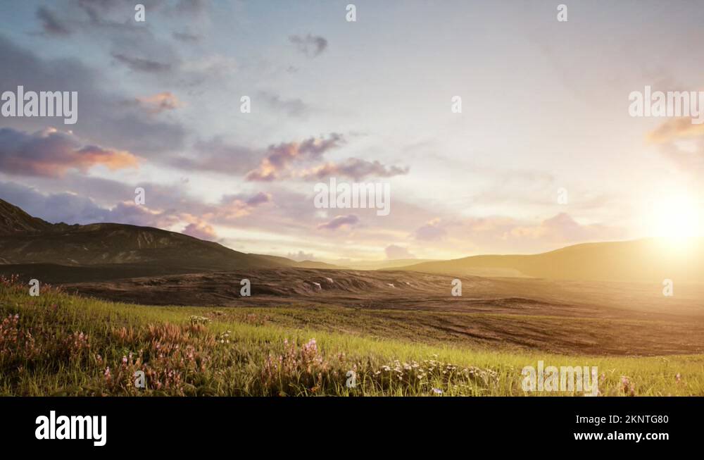 animation background of a field with the sun shining on the right ...