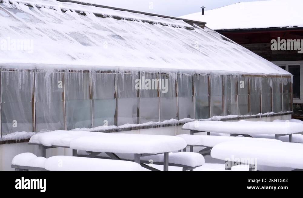 Winter garden structure Stock Videos & Footage - HD and 4K Video Clips ...