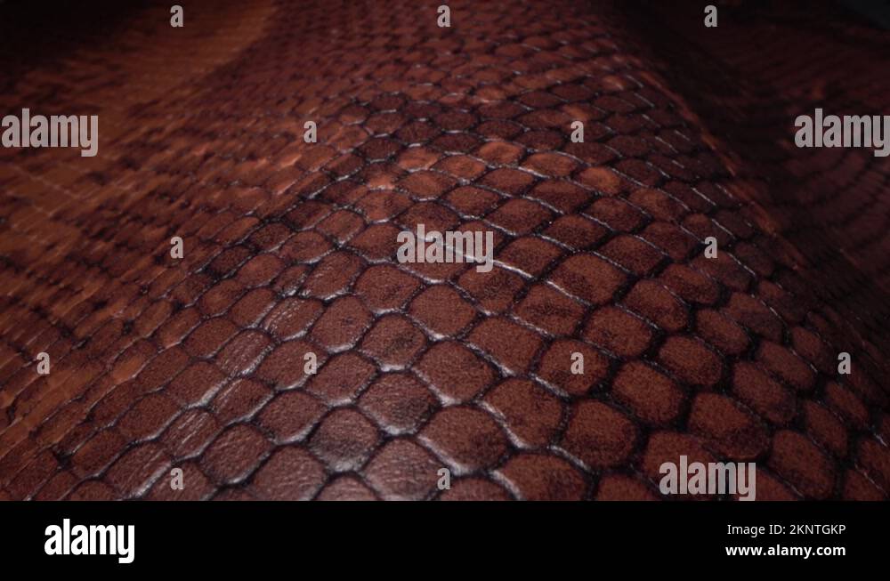 Brown leather texture and background. Exotic skins in Fashion and ...