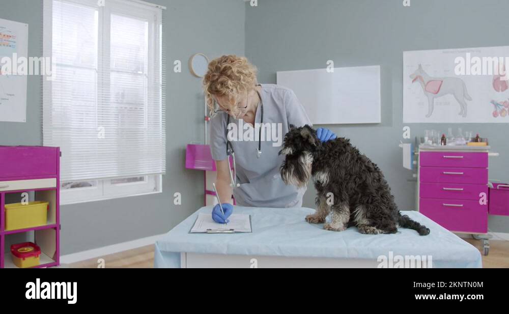 Female veterinarian standing in hospital while writing in documents ...