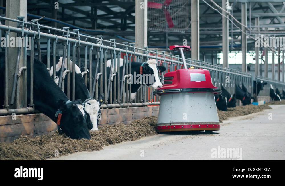 Ai breeding Stock Videos & Footage - HD and 4K Video Clips - Alamy