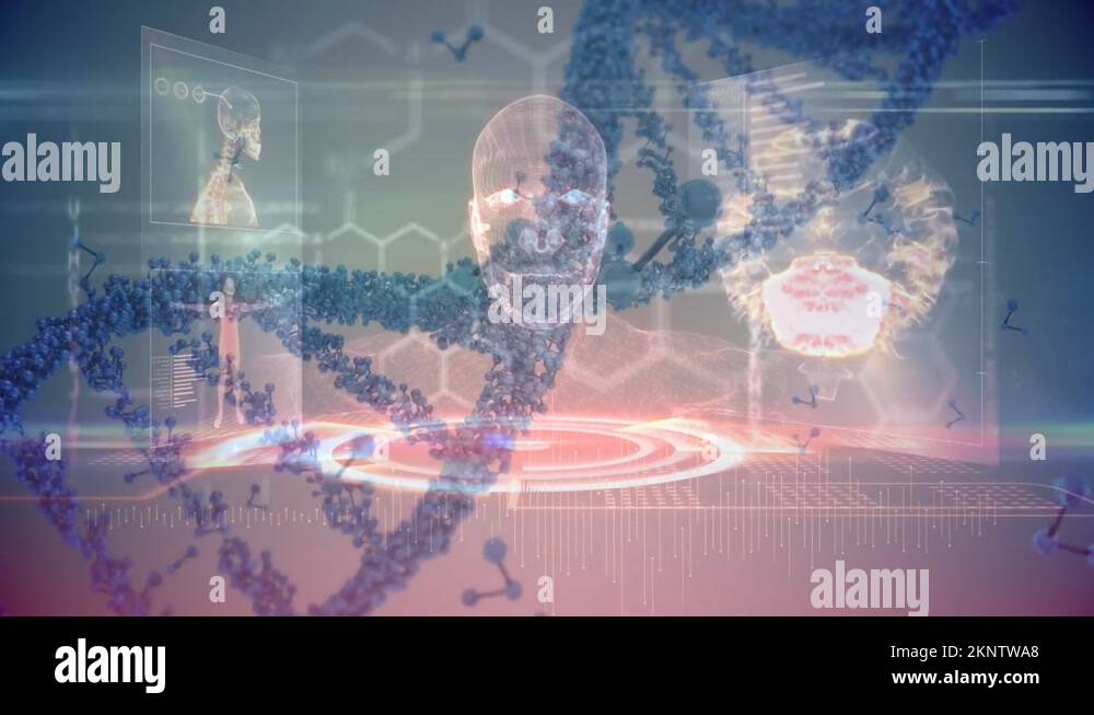 Animation of rotating dna strand, with body and face diagrams and data ...