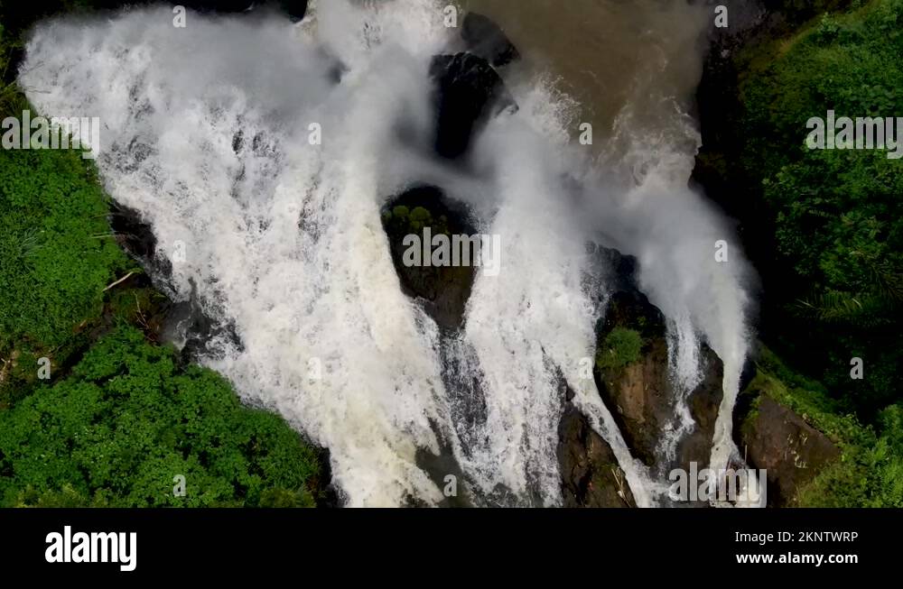 Green nature overhead Stock Videos & Footage - HD and 4K Video Clips ...