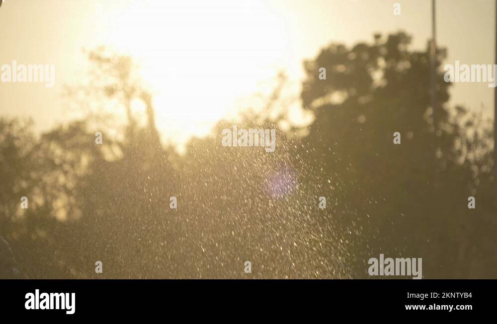 Close up of rain droplets, water drop with nature forest trees in rain ...