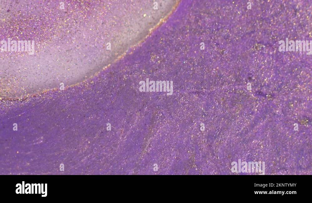 Very peri rose Stock Videos & Footage - HD and 4K Video Clips - Alamy