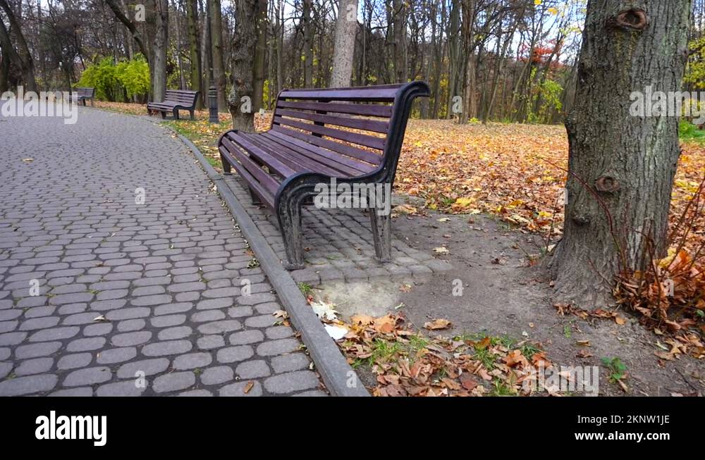 Park path benches benches Stock Videos & Footage - HD and 4K Video ...