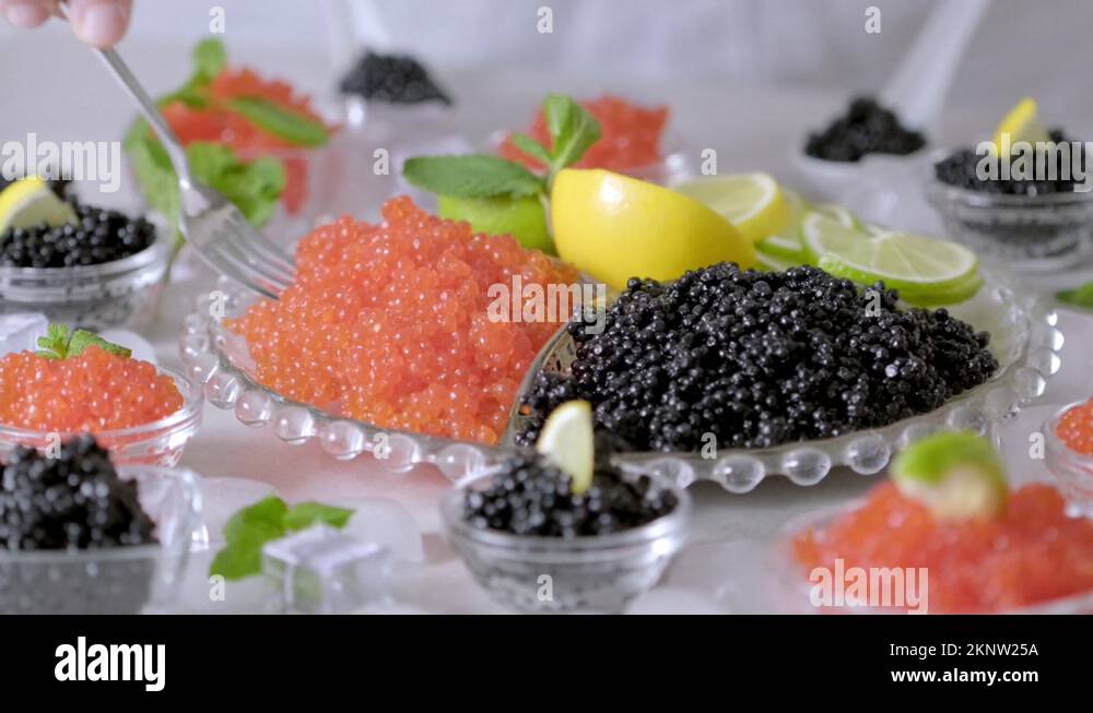 Beluga sturgeon Stock Videos & Footage - HD and 4K Video Clips - Alamy