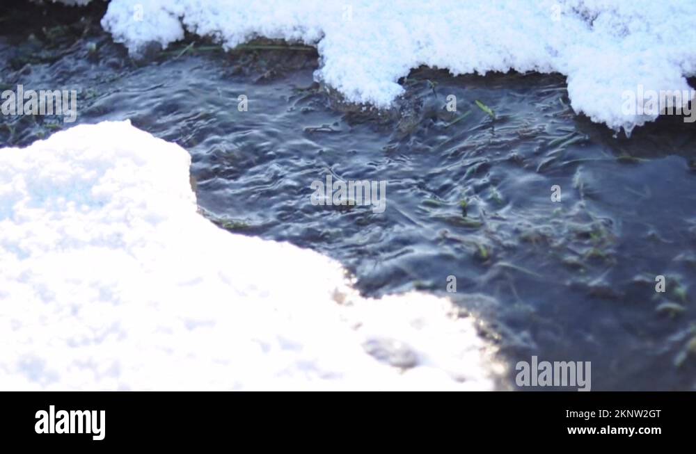 Spring melting snow forms a stream of clean cold water Stock Video ...