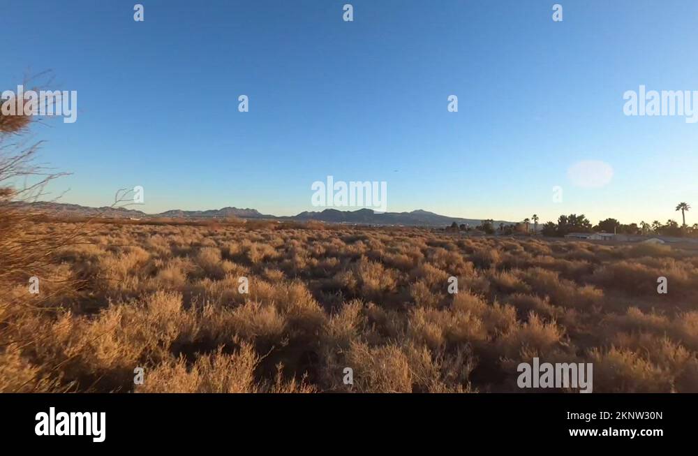 Grass surfing Stock Videos & Footage - HD and 4K Video Clips - Alamy