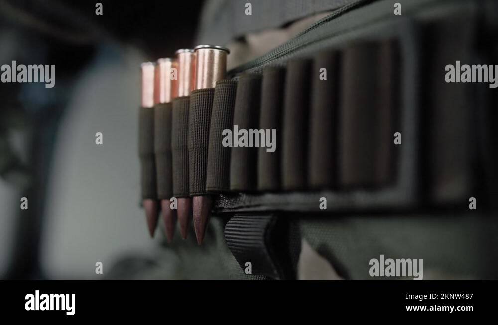 Soldier takes cartridges from a cartridge belt to load a machine gun ...