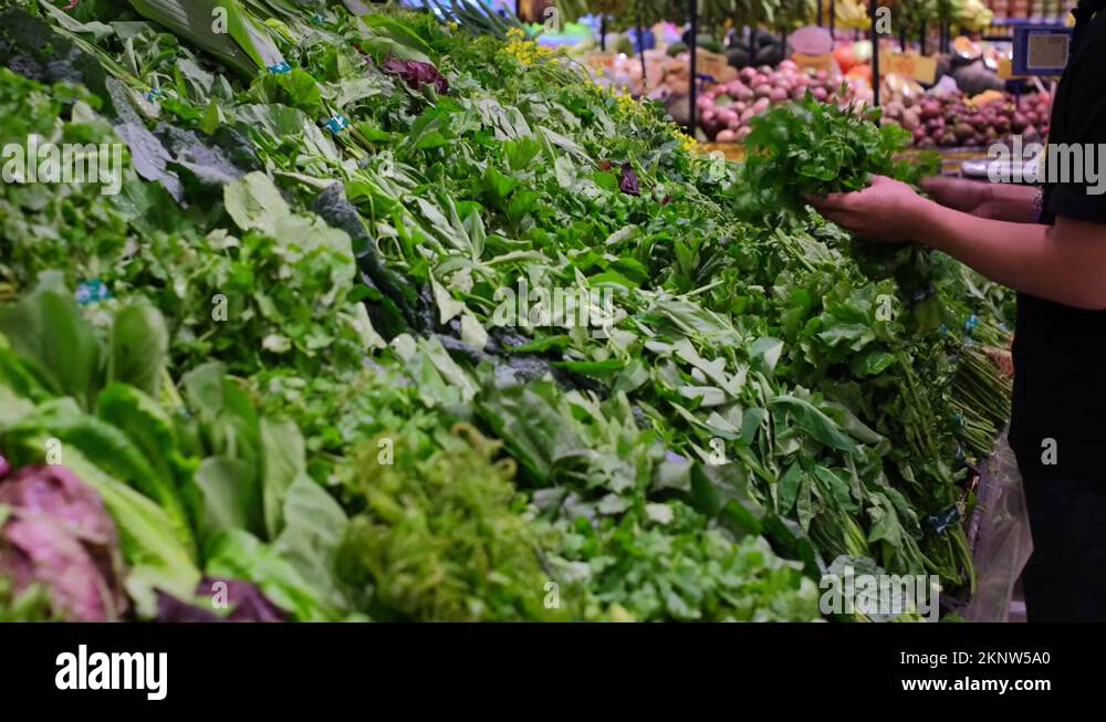 Cale green Stock Videos & Footage - HD and 4K Video Clips - Alamy