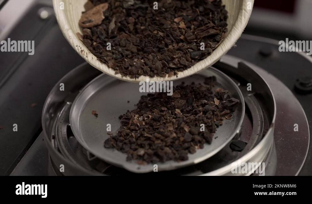 In ground scale Stock Videos & Footage - HD and 4K Video Clips - Alamy