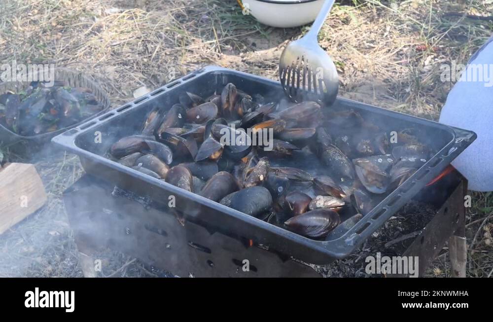 Barbeque seafood Stock Videos & Footage - HD and 4K Video Clips - Alamy