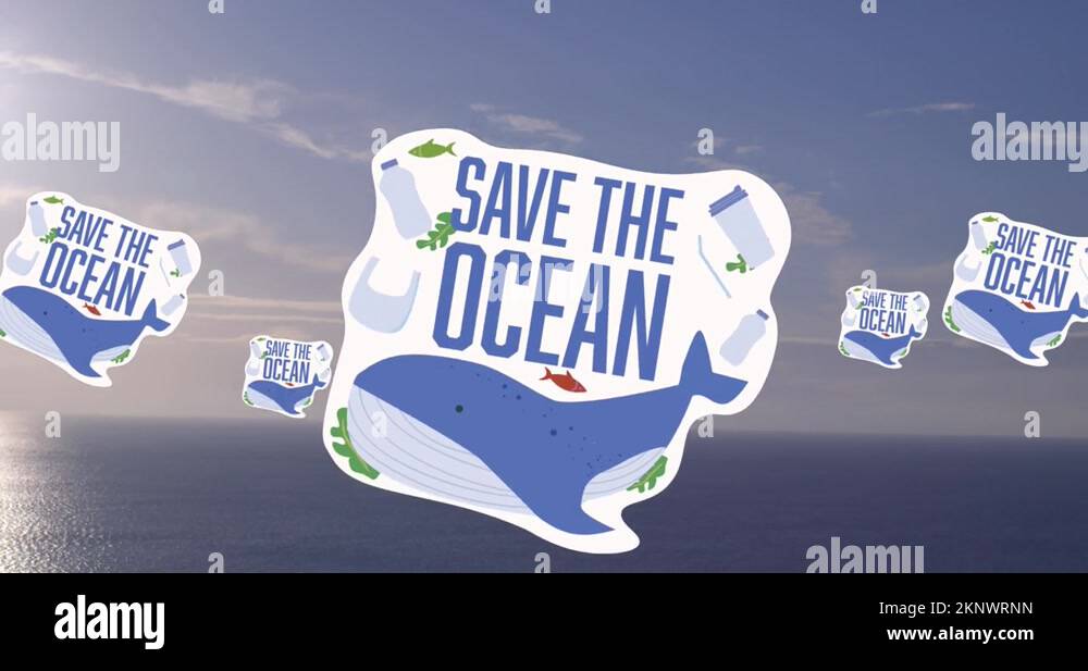 Save the whale sign Stock Videos & Footage - HD and 4K Video Clips - Alamy