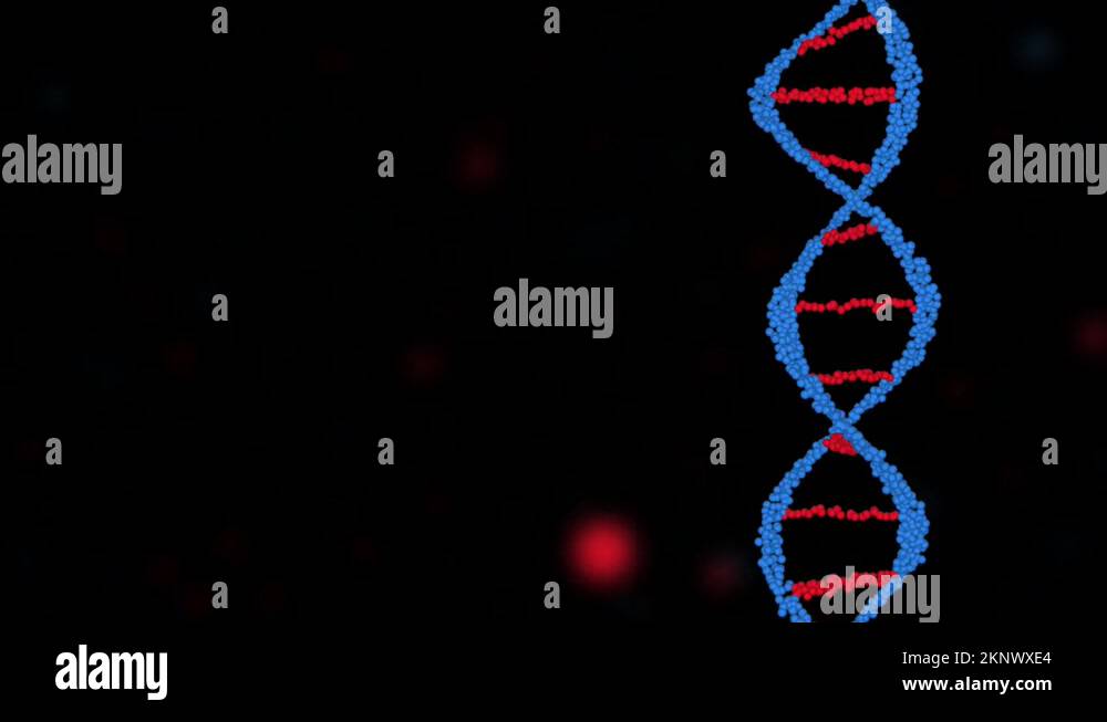 Red and Blue DNA Animation With Particle Background Seamless Loops ...