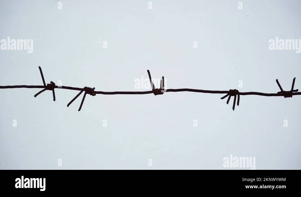 Restriction of movement Stock Videos & Footage - HD and 4K Video Clips ...