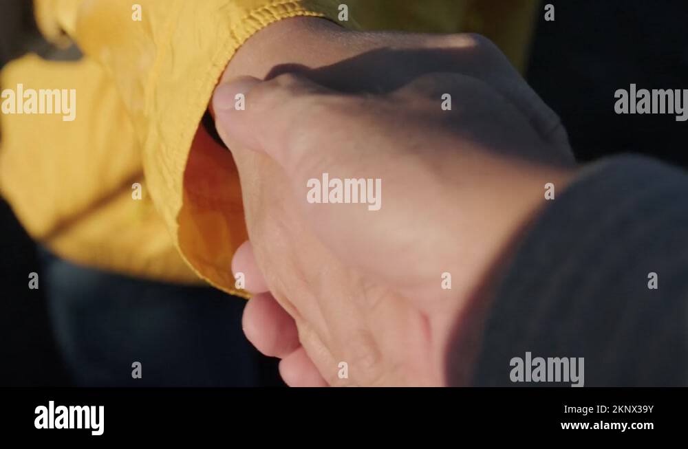 Help concept teamwork Stock Videos & Footage - HD and 4K Video Clips ...