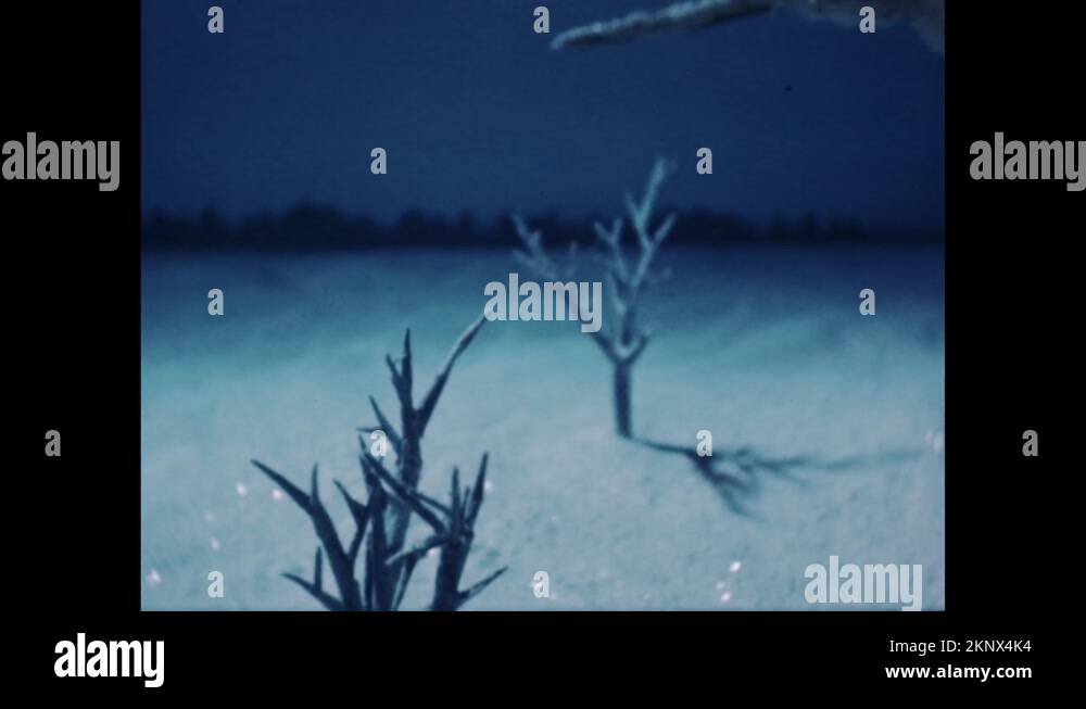 Window open shutters Stock Videos & Footage - HD and 4K Video Clips - Alamy