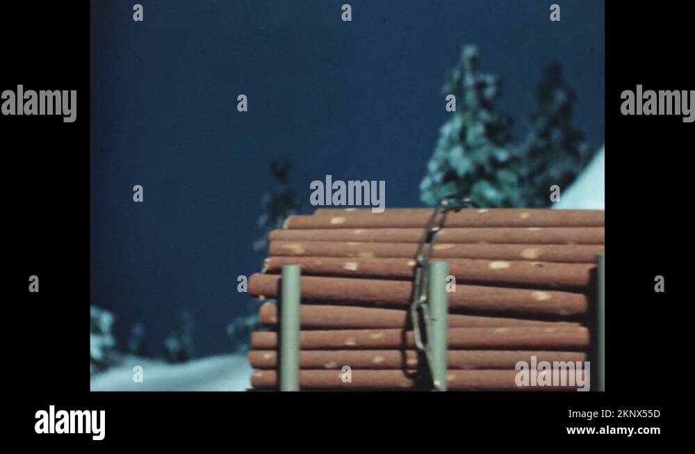 1950s: Puppet of an ox pulls two sleds of sticks. Sticks fall off the ...