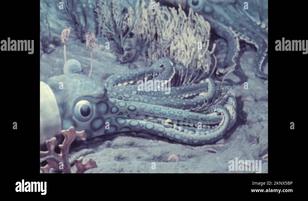 1950s: Model of squids on the ocean floor. Horses in the plains. Fish ...