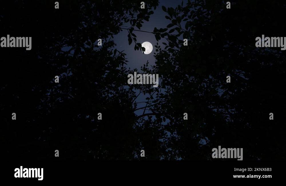 Dark view Stock Videos & Footage - HD and 4K Video Clips - Alamy