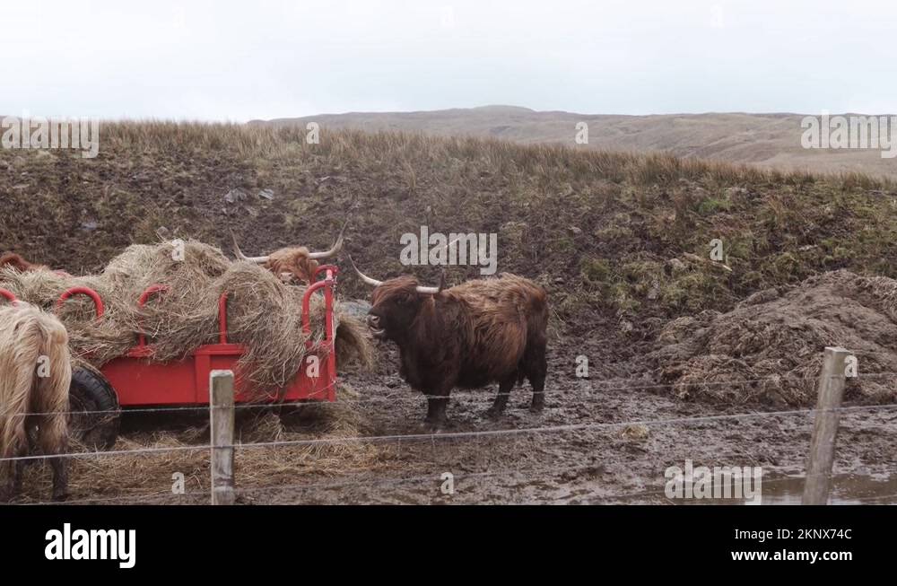 Windy isle Stock Videos & Footage - HD and 4K Video Clips - Alamy