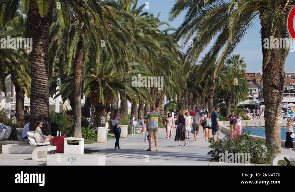 Split boardwalk Stock Videos & Footage - HD and 4K Video Clips - Alamy