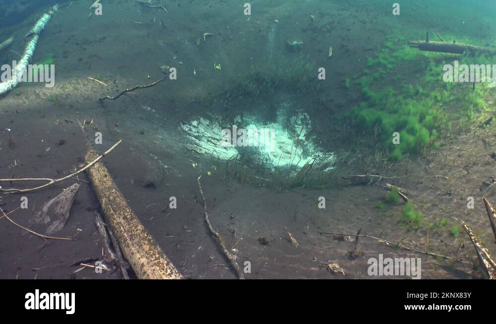 Underwater spring Stock Videos & Footage - HD and 4K Video Clips - Alamy
