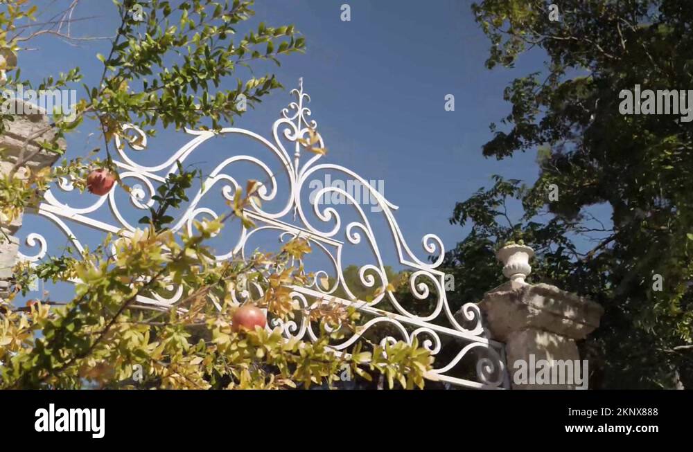 Pomegranate tree near a stylized iron gate with pillars at a mansion ...