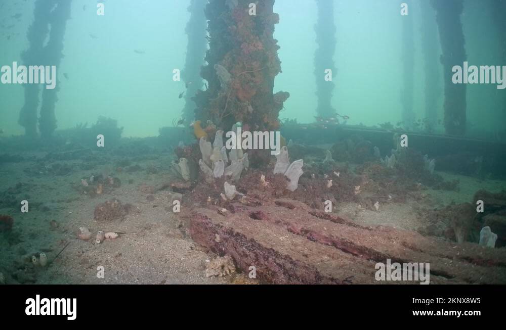 Jetty structure Stock Videos & Footage - HD and 4K Video Clips - Alamy