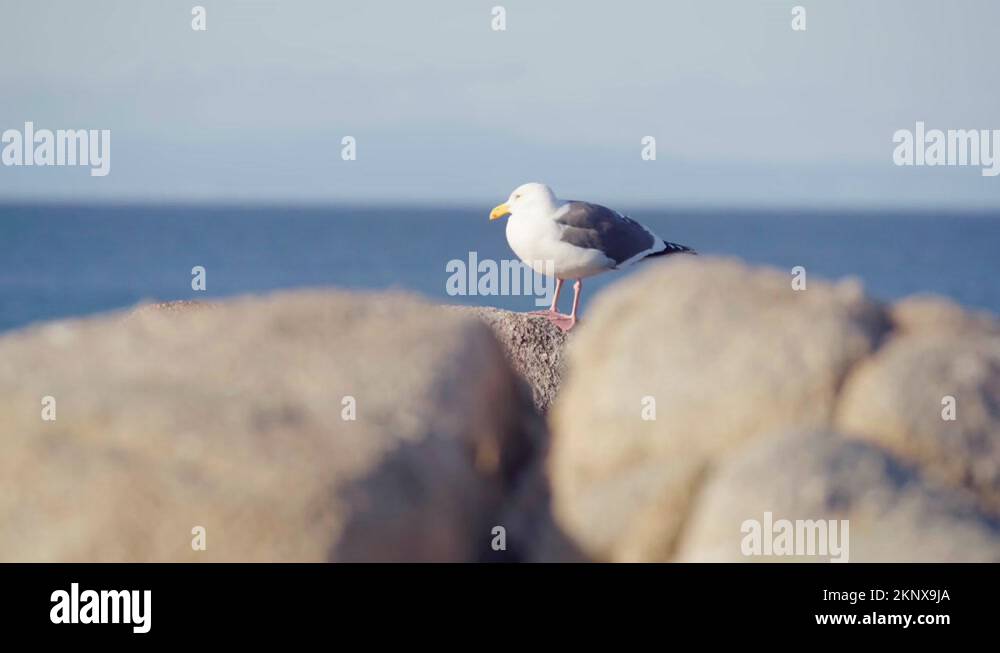 Sea slope Stock Videos & Footage - HD and 4K Video Clips - Alamy