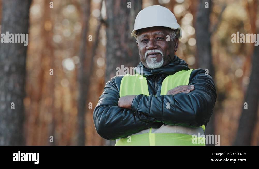 Forestry contractor Stock Videos & Footage - HD and 4K Video Clips - Alamy