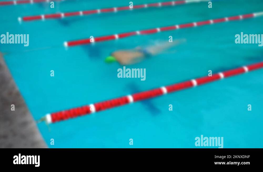 Swimming pool training. Athletes practice swimming Stock Video Footage ...