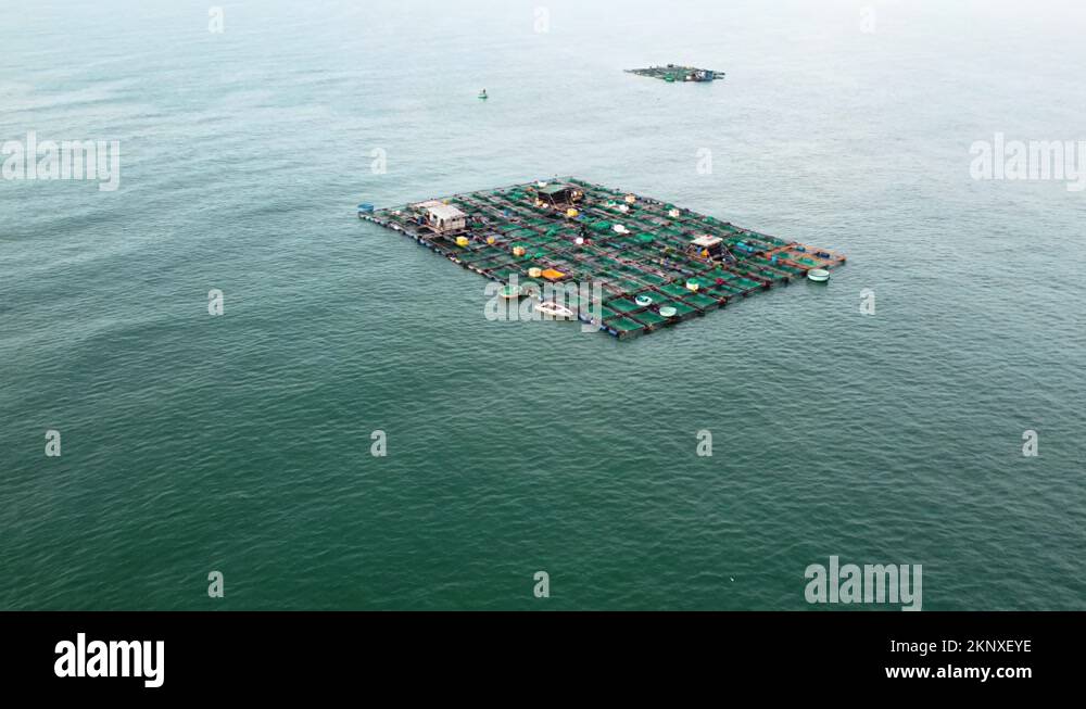 Fishing industry fishing and seafood industry Stock Videos & Footage ...