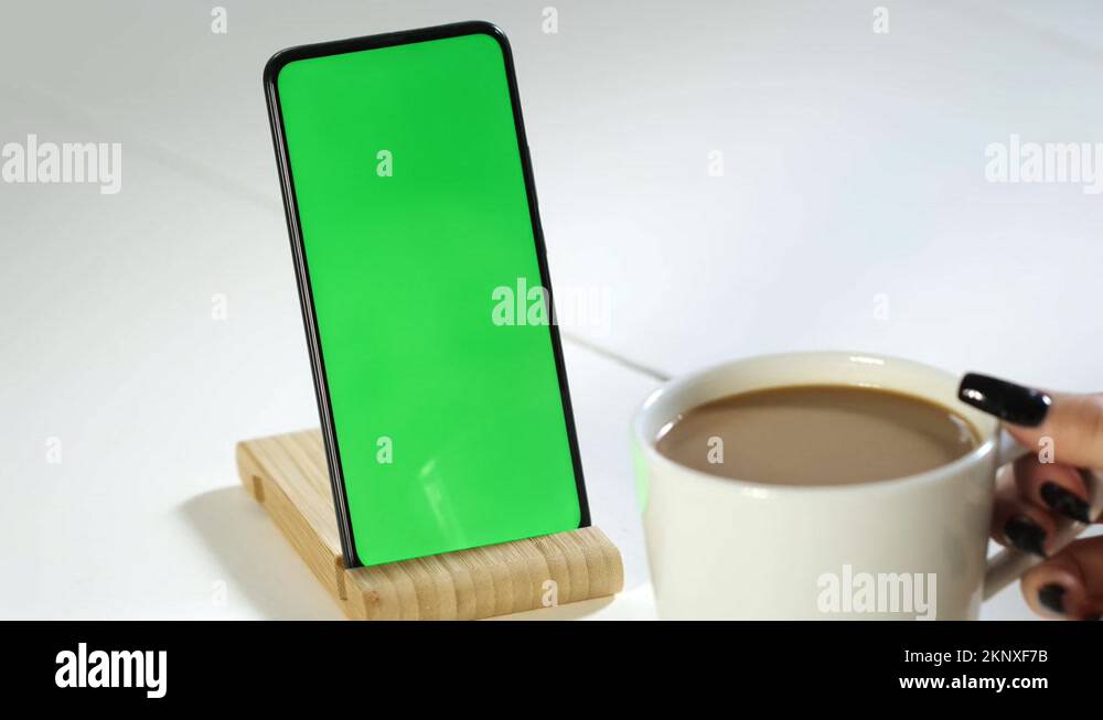 Handheld Camera: Back View of Brunette woman Holding Chroma Key Green ...