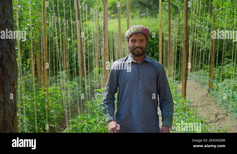 Vegetablefruit Stock Videos & Footage - HD and 4K Video Clips - Alamy