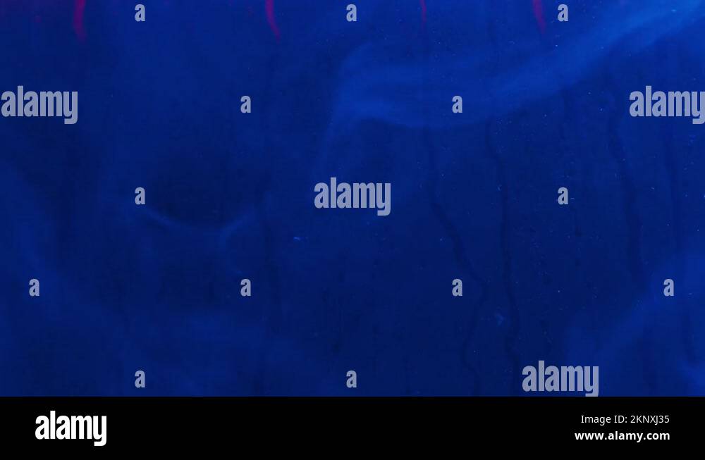 Drops of Blood Run Down the Transparent Glass Illuminated by a Police ...