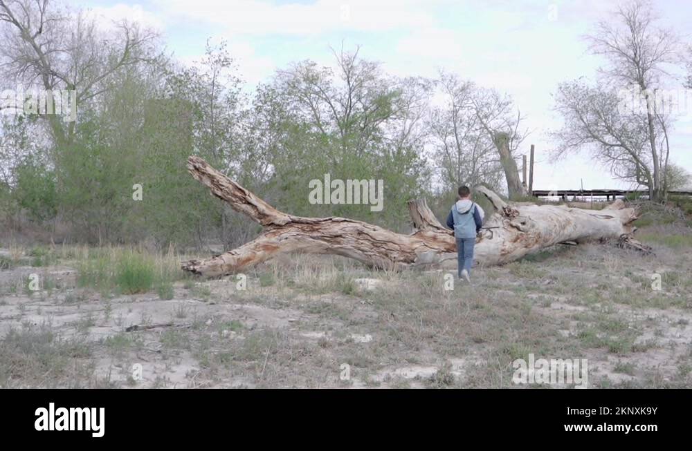 Jumping the gun Stock Videos & Footage - HD and 4K Video Clips - Alamy