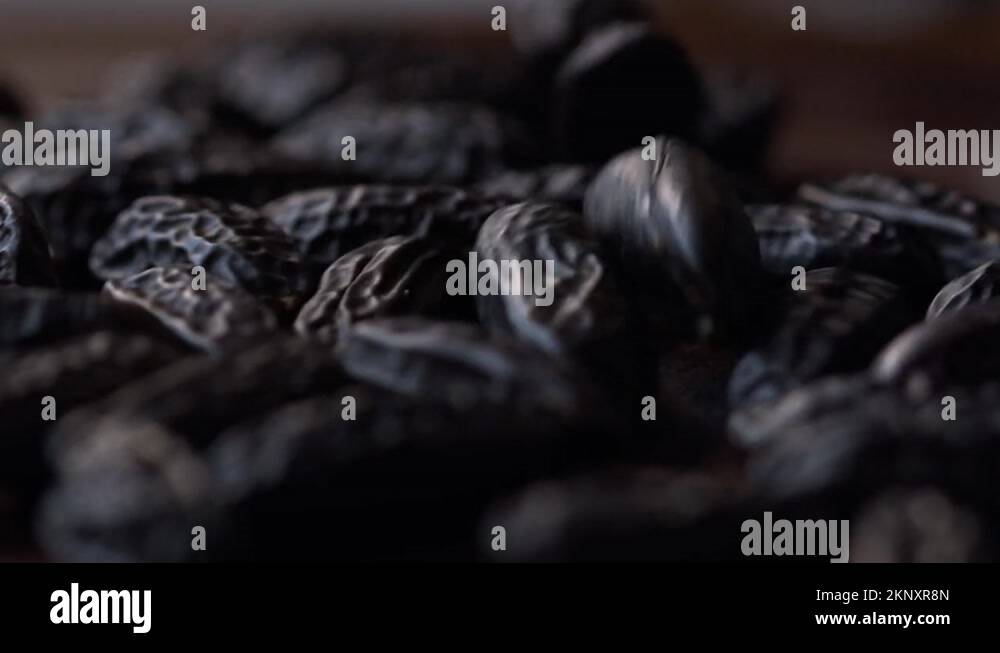 Amazon perfume seeds Stock Videos & Footage - HD and 4K Video Clips - Alamy