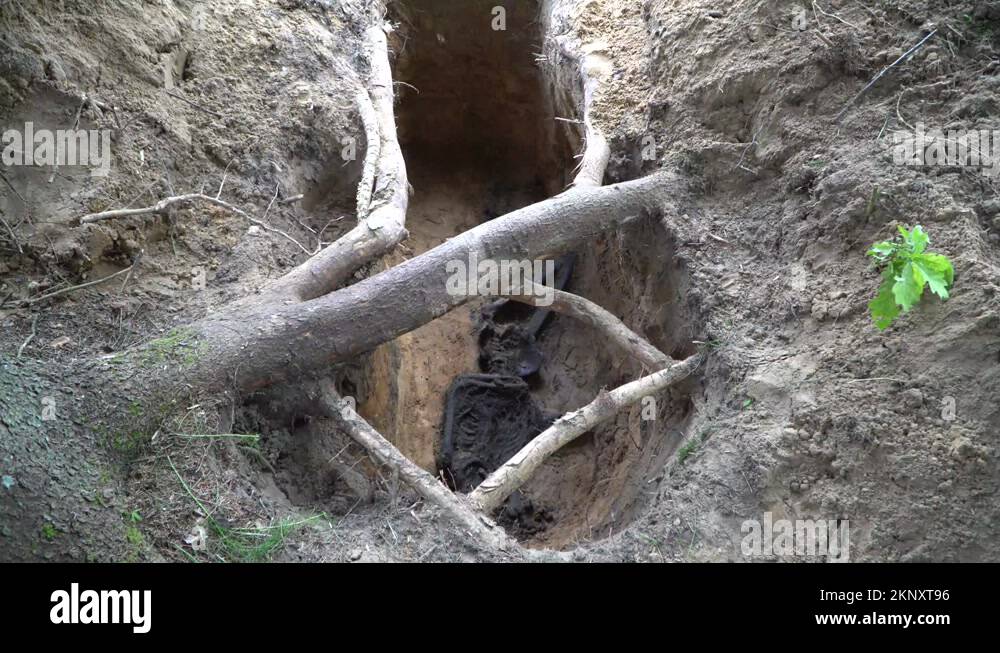 Massburial Stock Videos & Footage - HD and 4K Video Clips - Alamy