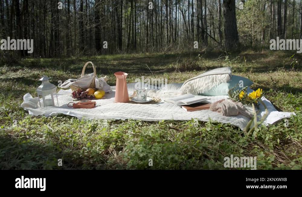 Picnic in the woods Stock Videos & Footage - HD and 4K Video Clips - Alamy
