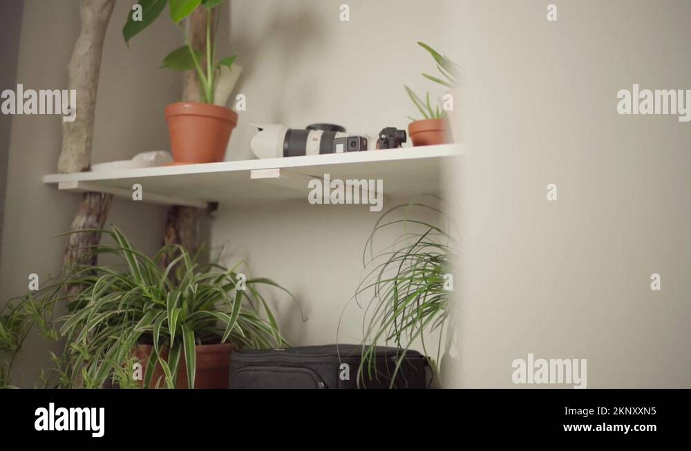 Flower display pots Stock Videos & Footage - HD and 4K Video Clips - Alamy