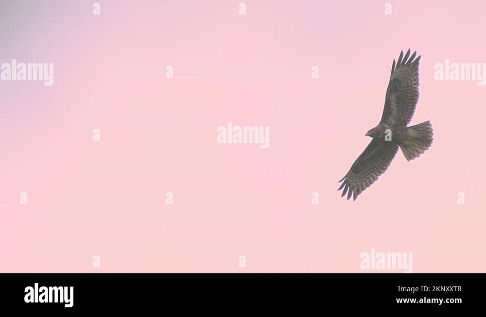 Mighty sky Stock Videos & Footage - HD and 4K Video Clips - Alamy