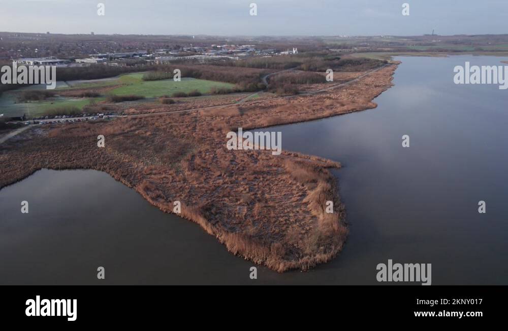 Tongue top Stock Videos & Footage - HD and 4K Video Clips - Alamy